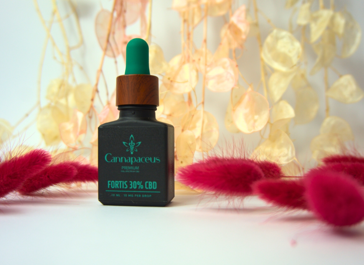 Žingsnis į vaistų rinkos revoliuciją: CBD produktai - Nemuno Kilpos